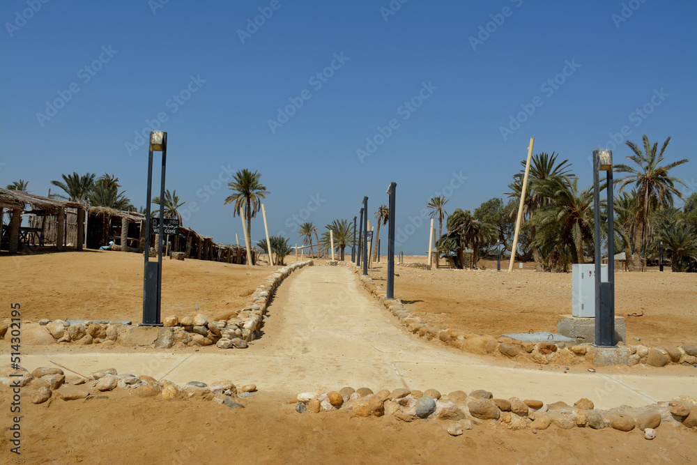 Prophet Moses Springs, Water wells and palms in Sinai Peninsula, Ras ...