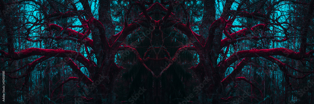 Stranger forest in a fog. Fairy Mysterious Forest. Mystical atmosphere ...