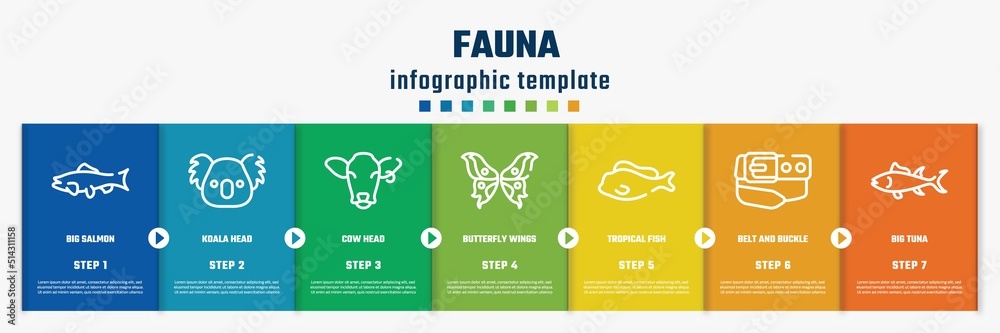 fauna concept infographic design template. included big salmon, koala ...