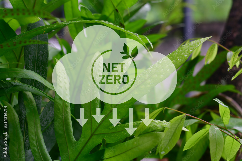 CO2 Net-Zero Emission concept, The concept of carbon neutral and net ...