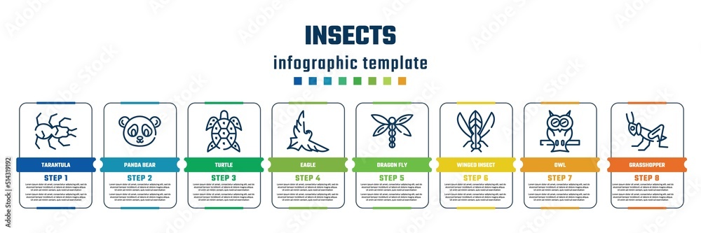 insects concept infographic design template. included tarantula, panda ...