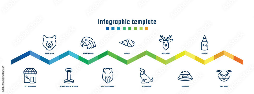 concept infographic design template. included bear head, pet grooming ...