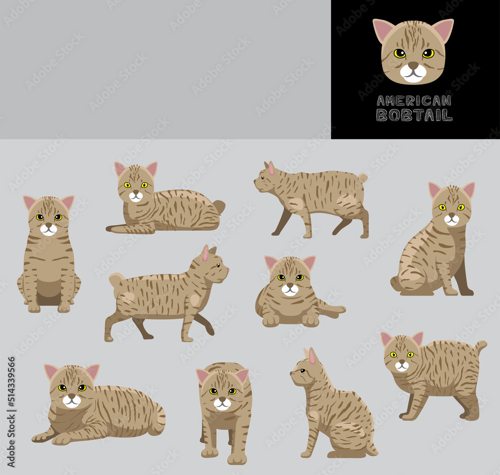 Cat American Bobtail Cartoon Vector Illustration Color Variation Set ...