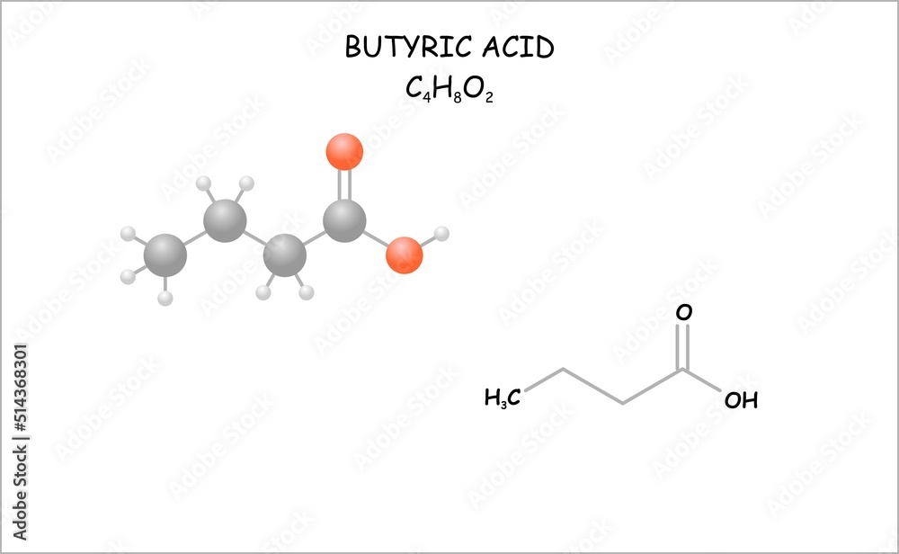 Stylized molecule model/structural formula of butyric acid. Stock ...