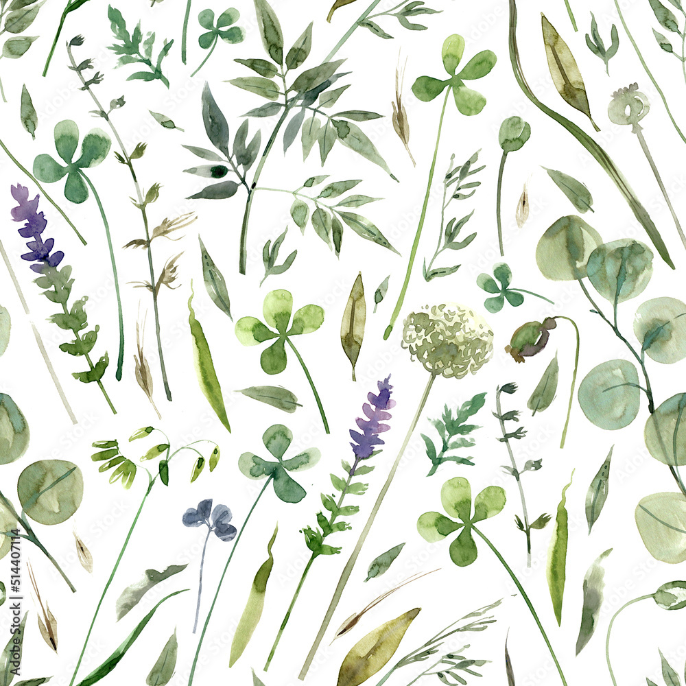 Field herbs, wild plants, greenery seamless pattern with watercolor ...