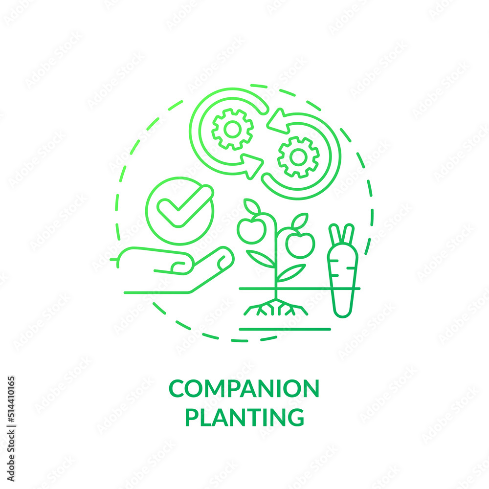 Companion planting green gradient concept icon. Planting different ...