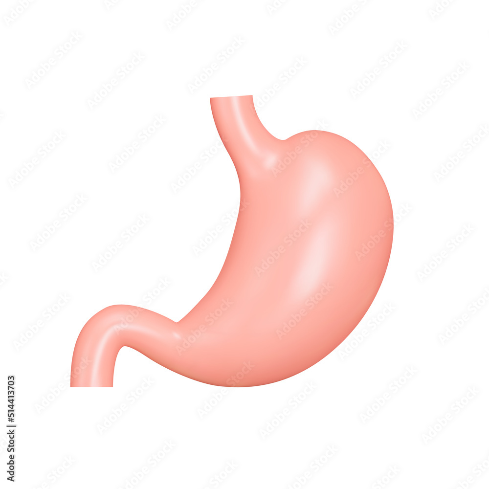 Stomach 3d icon. Internal organ, human gastrointestinal tract. Isolated ...