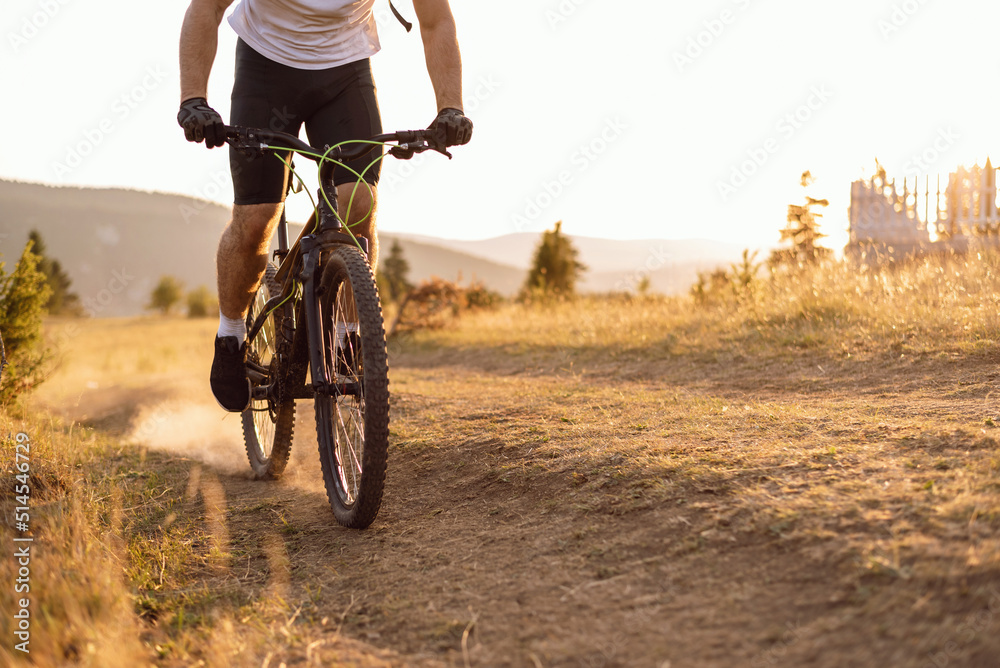 Professional mountain bike cyclist riding a trail in the forest ...