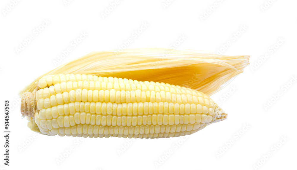 Peeled Streamed corn isolated on white background. Thai native corn ...