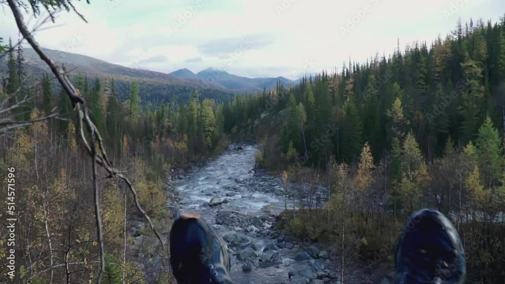 The tops of the trees. clip. Forest from above. Beautiful green forest ...