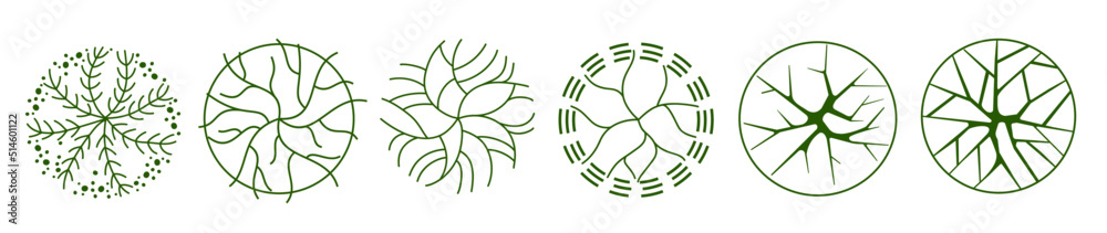 Tree for architectural floor plans. Entourage design. Various trees ...