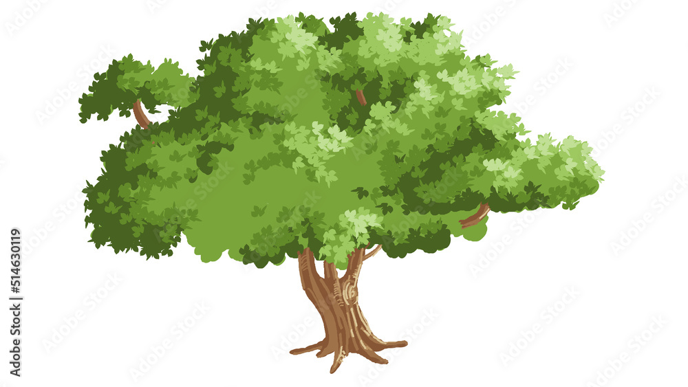 Tree with transparent background Stock Illustration | Adobe Stock
