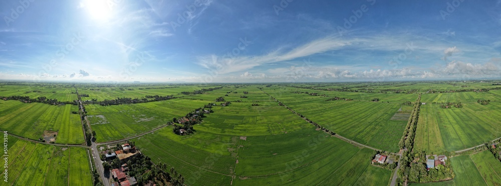 defaultThe Paddy Rice Fields of Kedah and Perlis, Malaysia Stock Photo ...