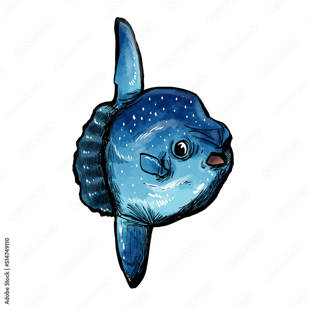 blue fish cartoon Stock Illustration | Adobe Stock