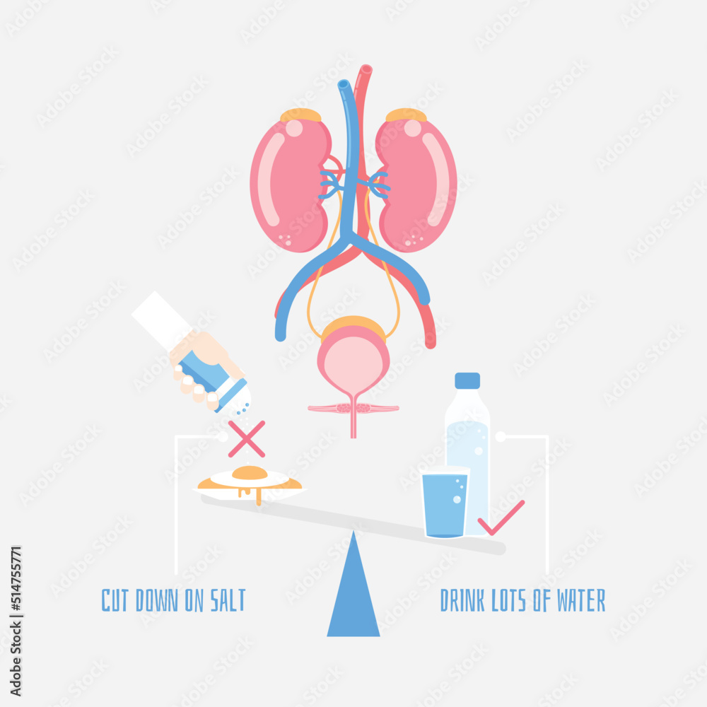 world kidney day, kidney and bladder health care infographic diagram ...