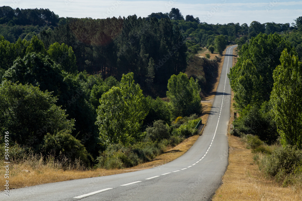 Estradas de Portugal no Verão Stock Photo | Adobe Stock