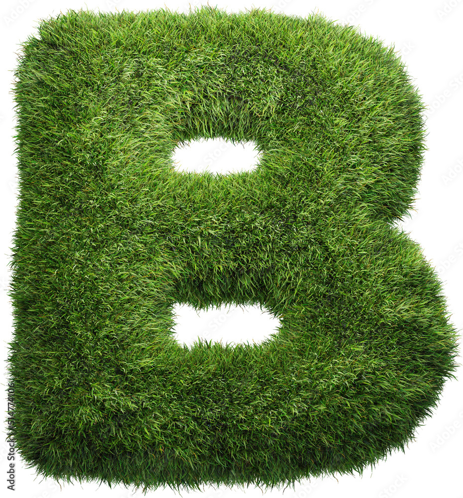 grass letter B isolated on white background Stock Illustration | Adobe ...