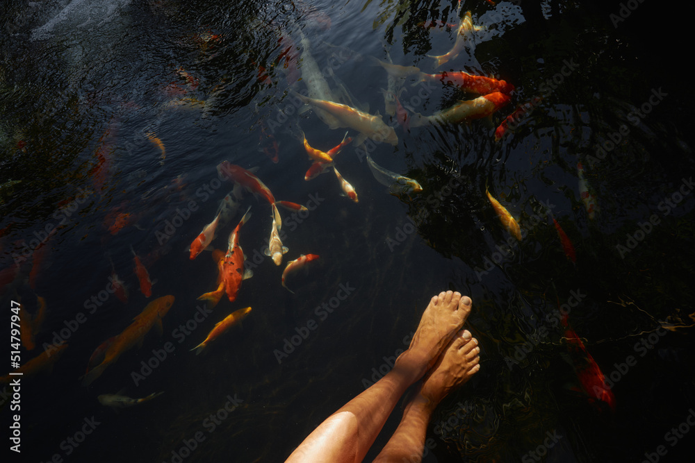 Fotografia do Stock: Girl feeds the fish by hand in a small pond in the ...