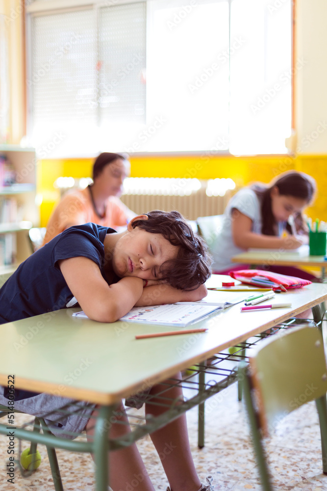 Boy Sleeping In Class