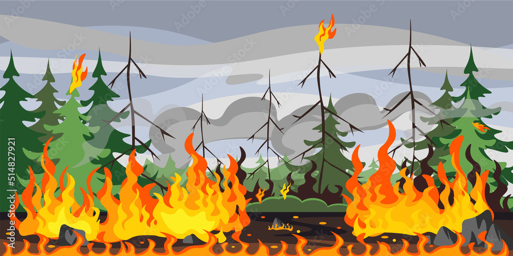 Vector illustration of natural disaster. Cartoon landscape with forest ...