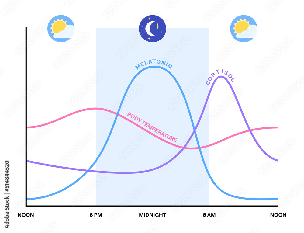 Sleep wake cycle Stock Vector | Adobe Stock