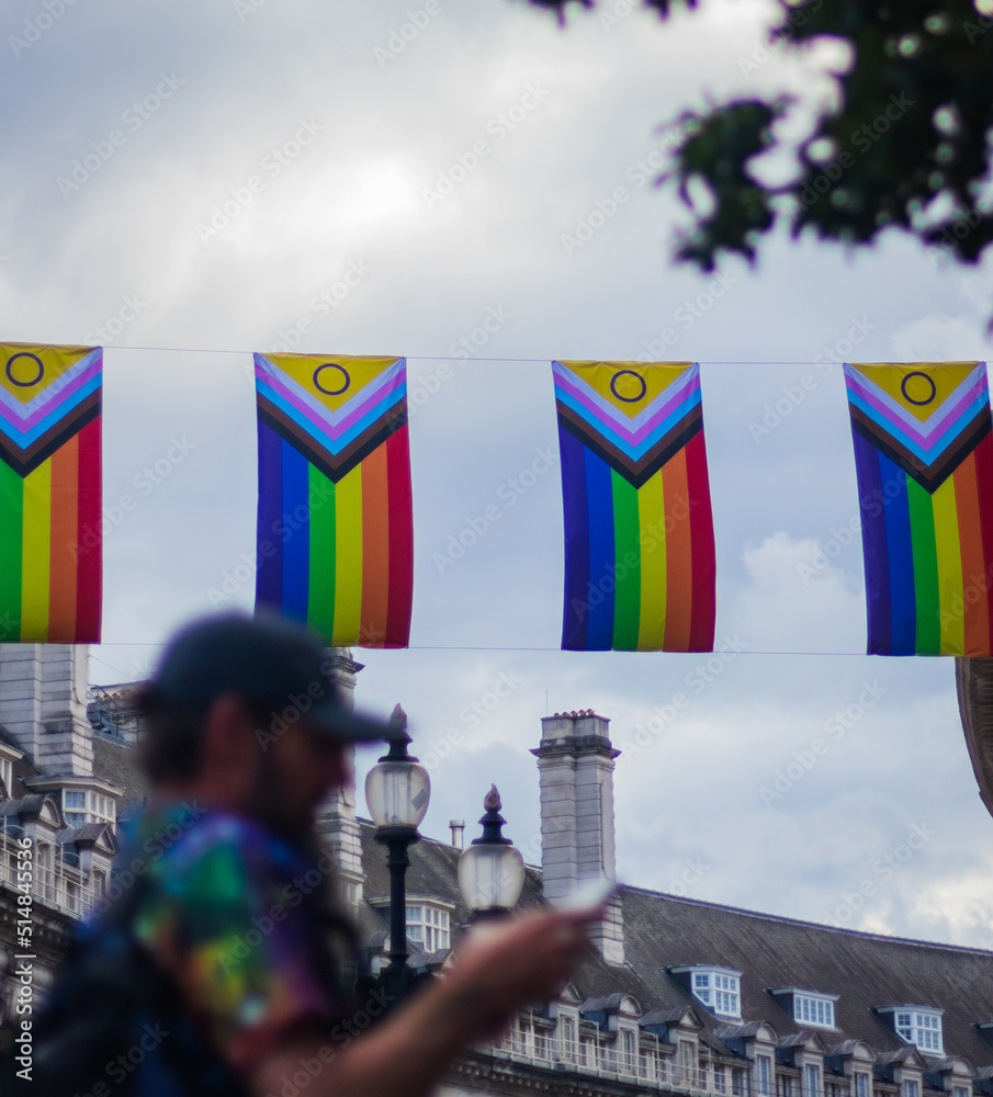 LGBTQ pride flags in decoration at London,England Stock Photo | Adobe Stock