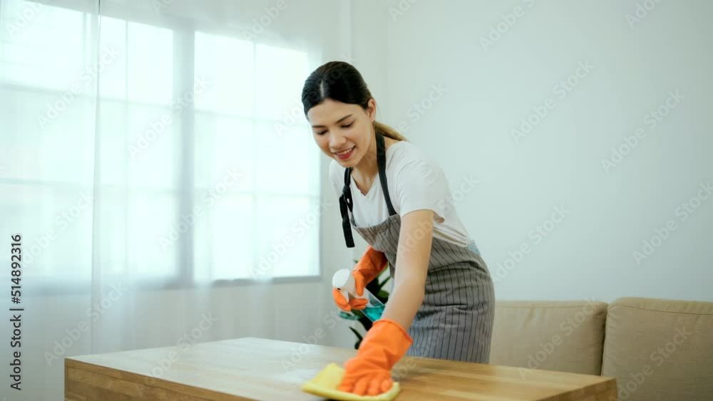 Beautiful housewife with rubber gloves and apron using spray bottle and microfiber towel to ...
