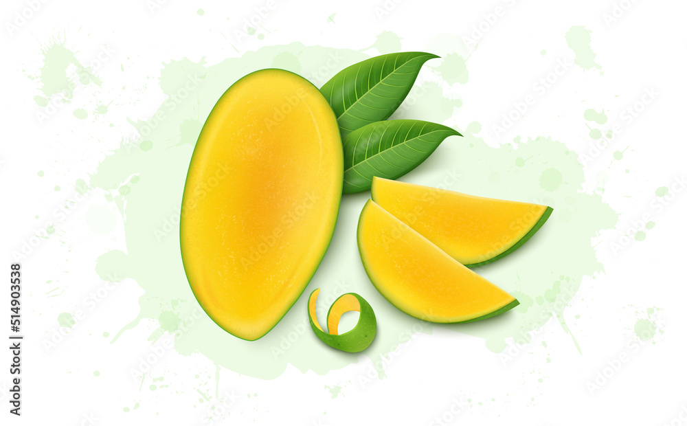 Half Piece of Mango Vector illustration with mango slices and green ...