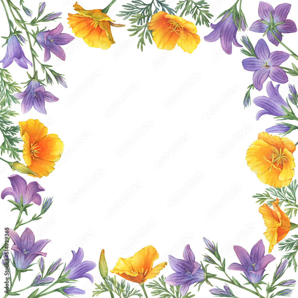 Template, frame with bluebell (rapunzel, bellflower, Campanula patula ...