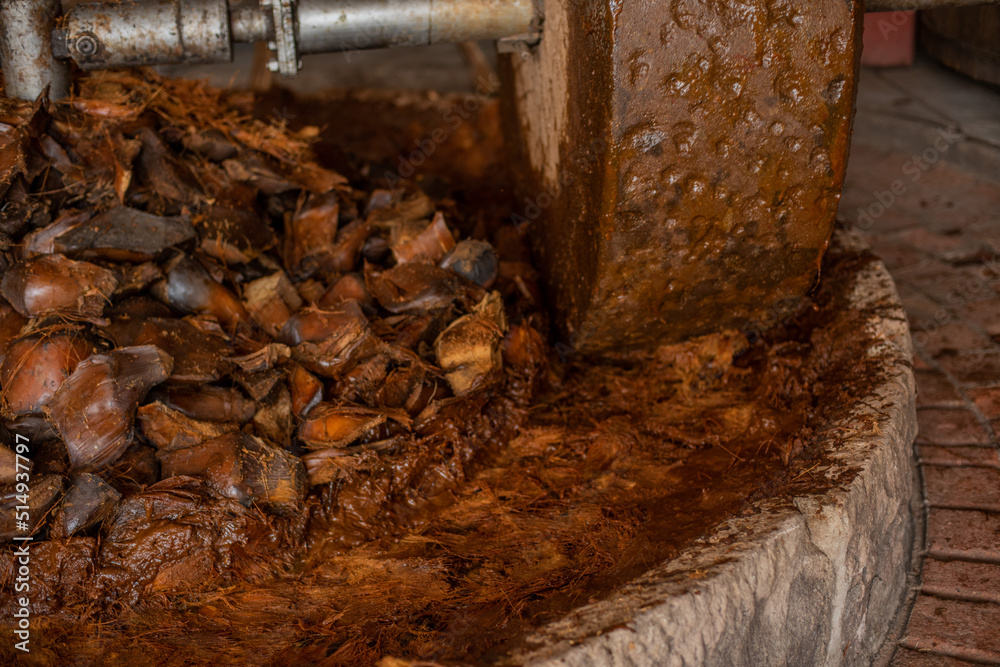 Proceso de elaboración de mezcal Stock Photo | Adobe Stock