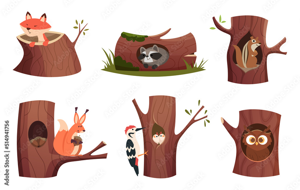 Animals in tree holes. Wild wooden animals living in forest cozy hollow ...