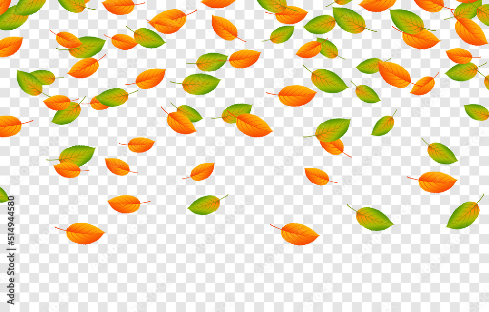 Vector leaf fall on an isolated transparent background. Autumn, the ...