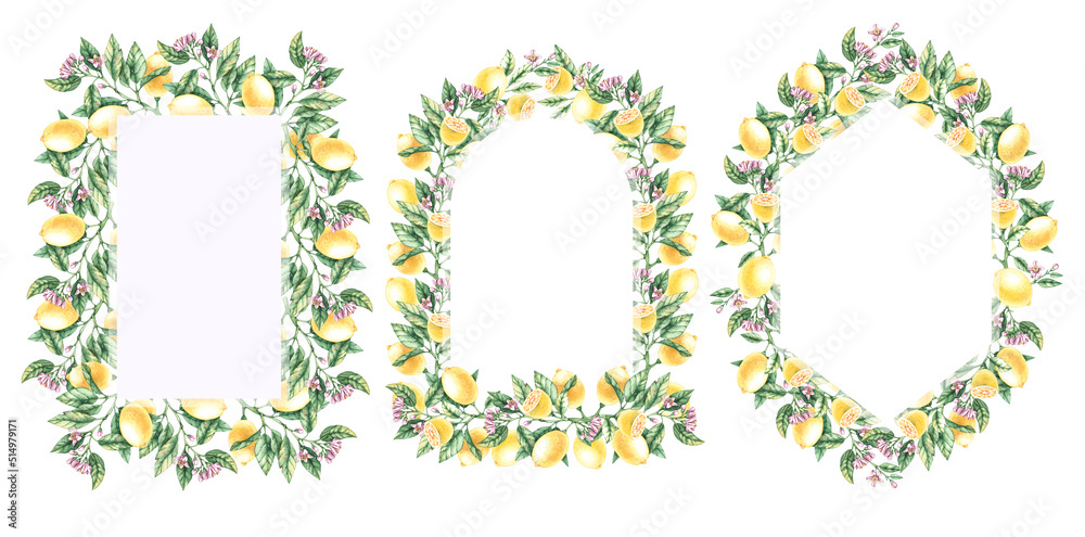 Watercolor set of lemon frames on a white background Stock Illustration ...