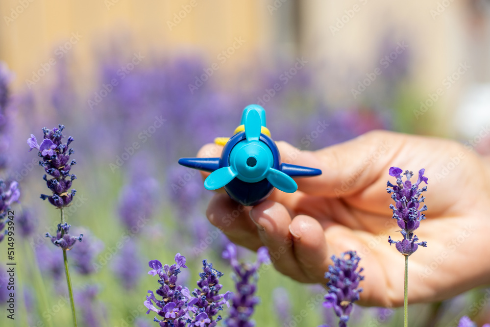 plastic toy plane with propeller in front over lavender flowers field ...