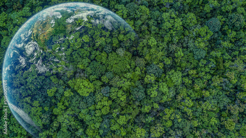 Aerial top view green forest with earth, Green planet in your hands ...
