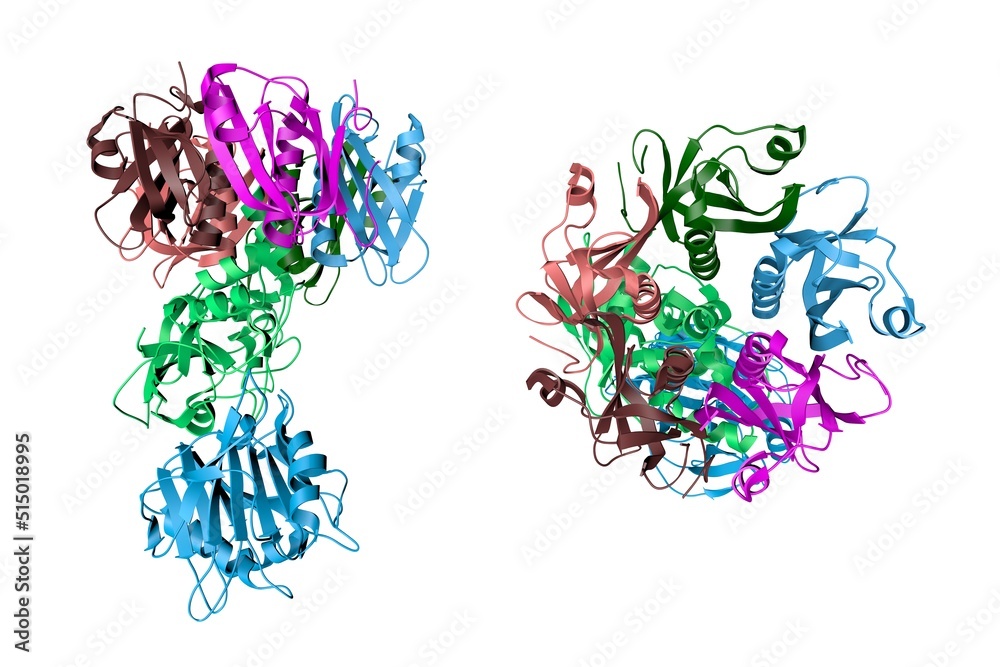 Crystal structure of typhoid toxin produced by bacterium Salmonella ...