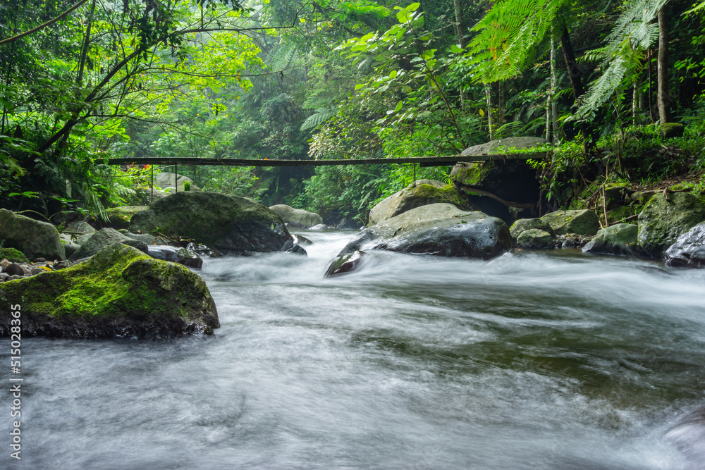 Long exposure and blur image of clear water rivers stream in the middle ...