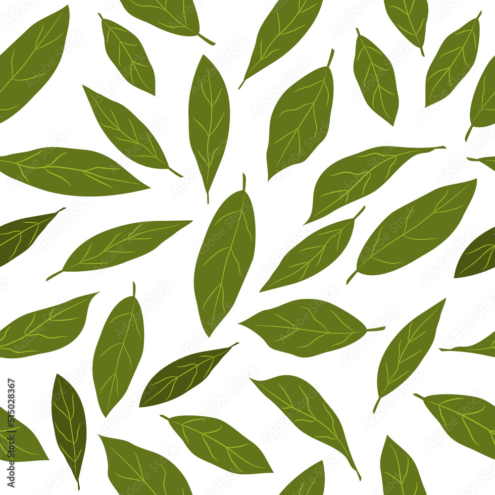Bay leaf seamless pattern in cartoon flat style. Vector illustration ...