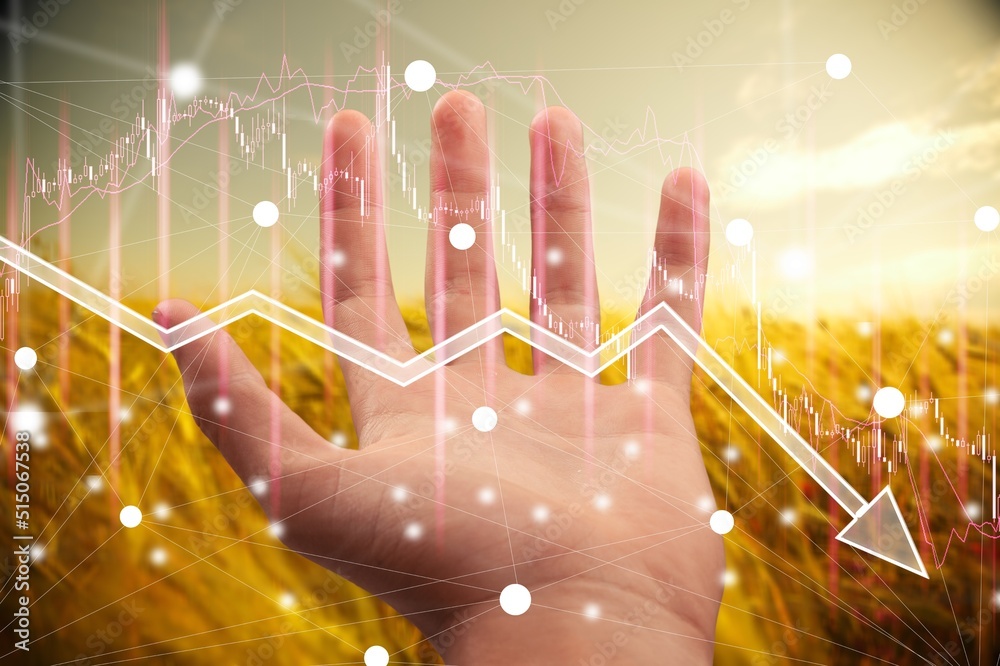 Wheat in farmer hand, graphs of falling production and rising grain ...