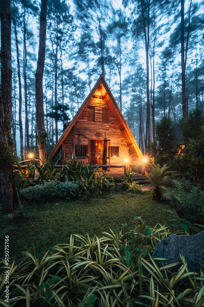 Pinewood cabin in pine forest green on nature trail. Wooden house or ...
