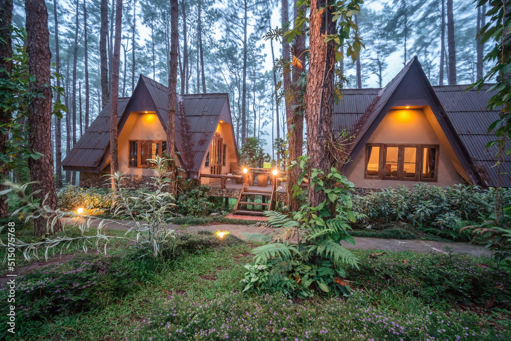 Pinewood cabin in pine forest green on nature trail. Wooden house or ...