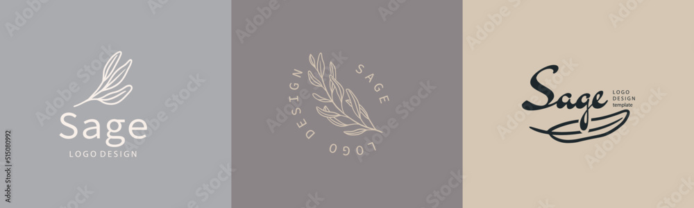 Sage plant badges and logo. minimalist branding labels for tag with ...