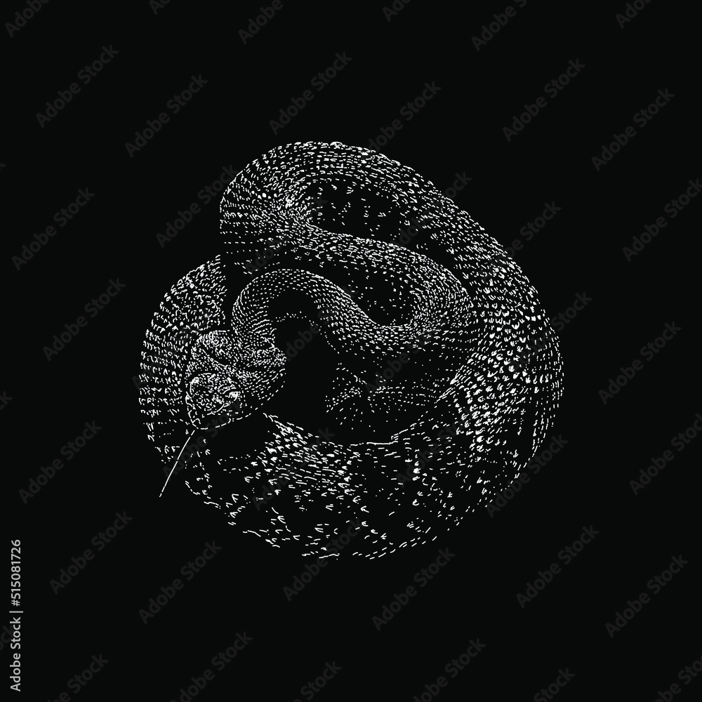 Red Diamondback Rattlesnake hand drawing vector illustration isolated ...