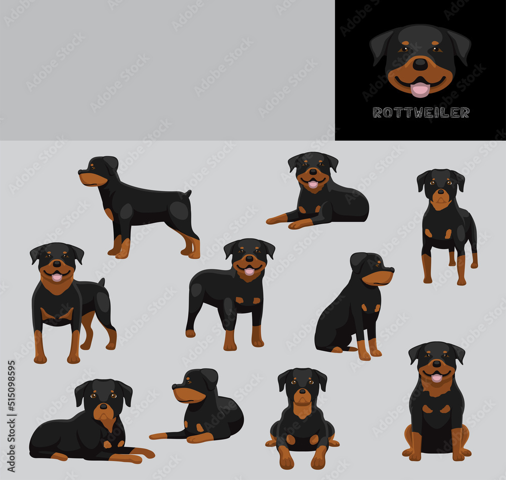 Dog Rottweiler Cartoon Vector Illustration Color Variation Set Stock ...