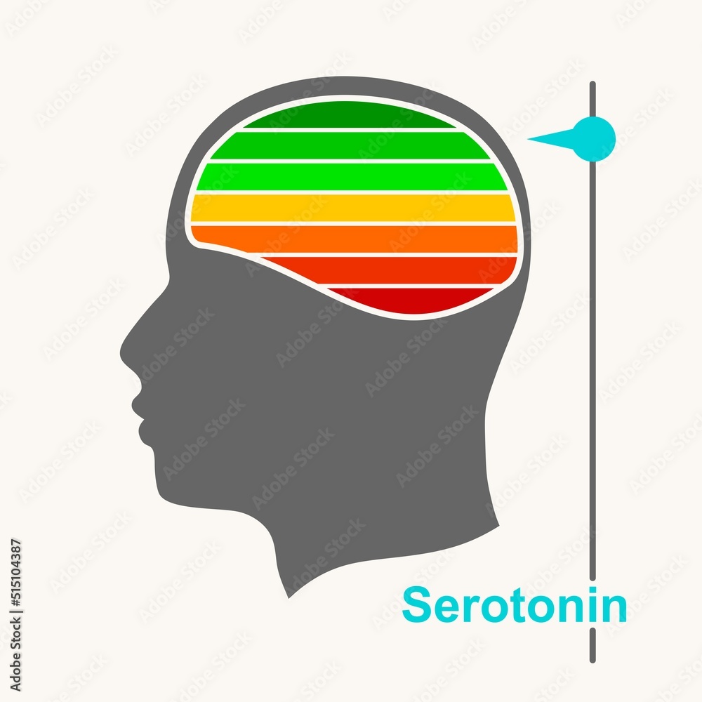 Human head and hormone serotonin level scale. Concept of medicine and ...