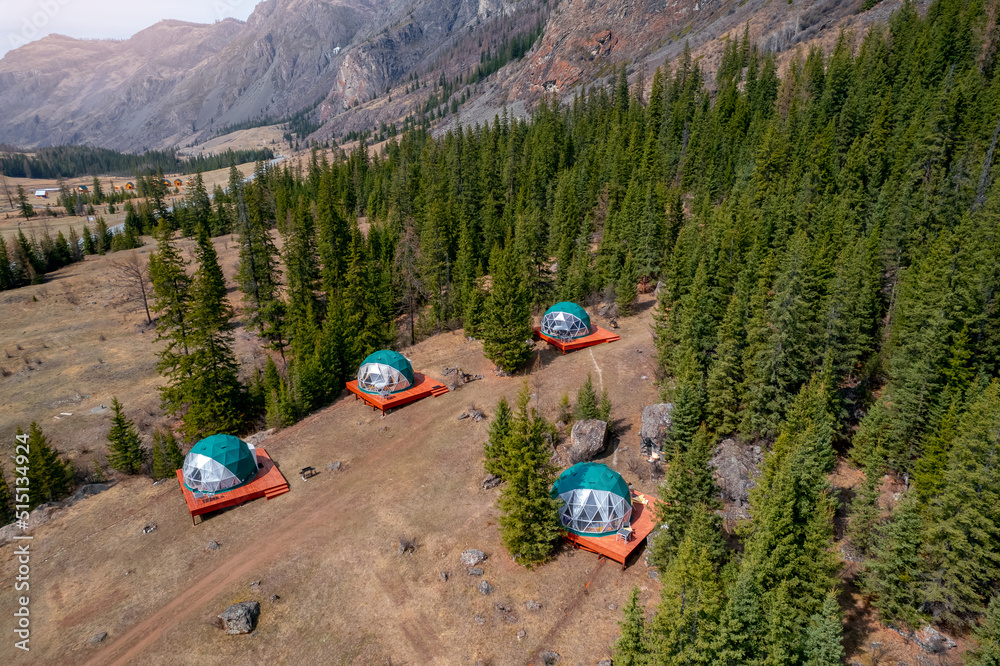 Tent houses glamping for tourism background autumn forest Altai ...