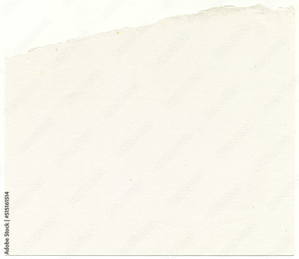 High quality, high resolution magnified close up white watercolor ...