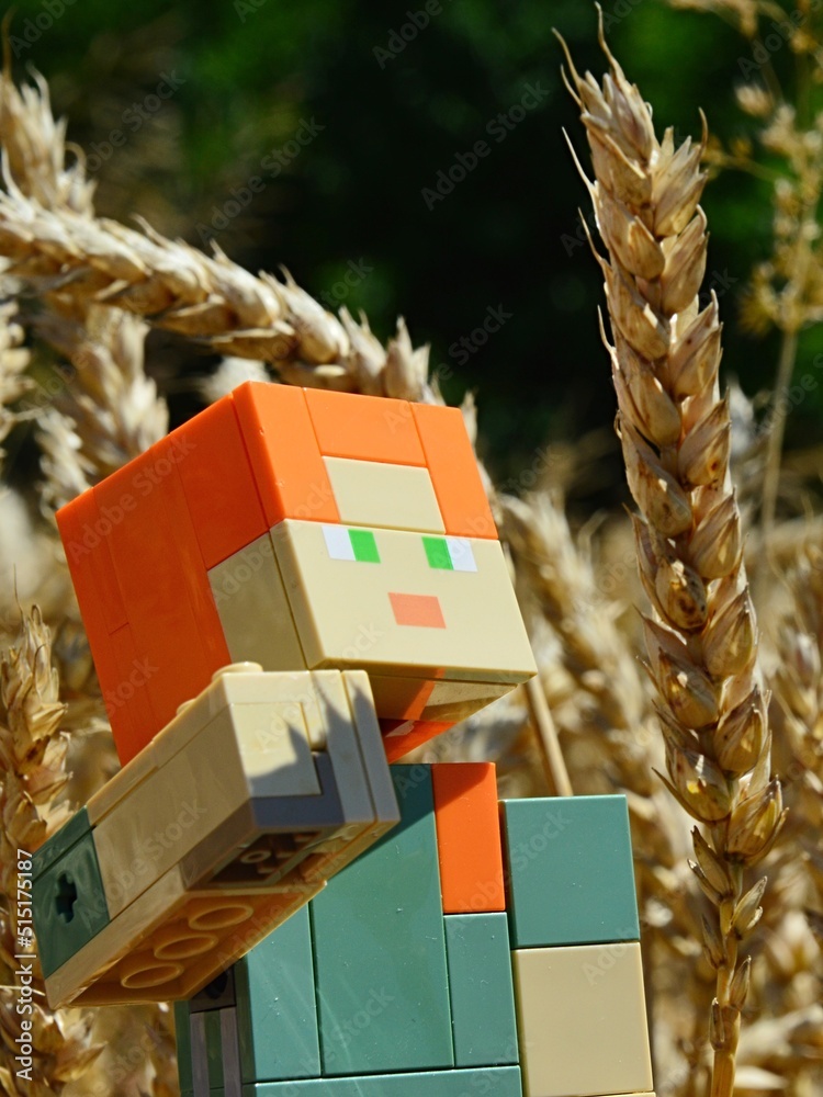 LEGO Minecraft large figure of Alex is adoring mature ears of Common ...