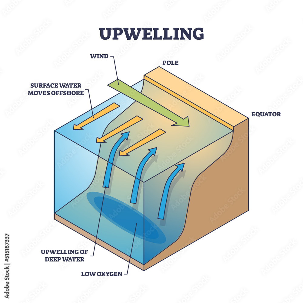 Upwelling as ocean deep water movement process explanation outline ...