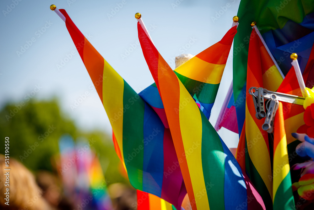 Many waving LGBT gay pride flags at a solidarity march. Stock Photo ...